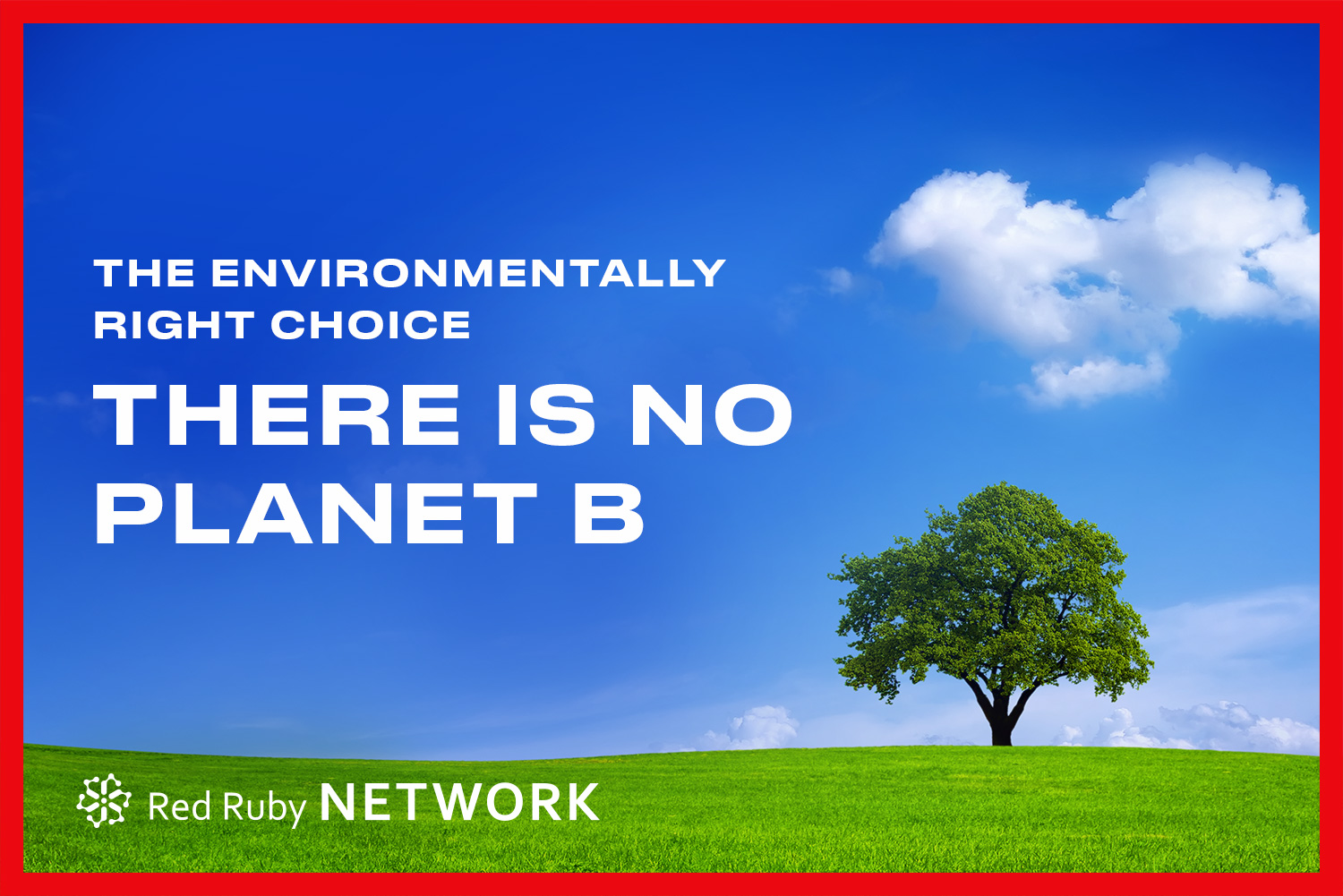 Red Ruby Network™ – Leader in Blockchain Management